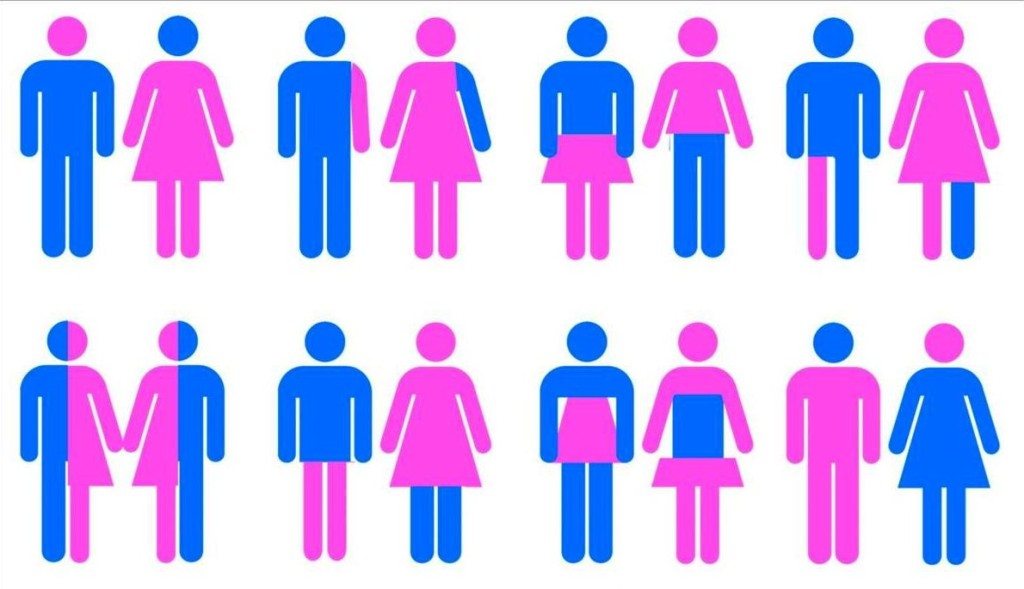 Xジェンダーは和製英語！本当は “Gender Queer” ？ | Letibee Life